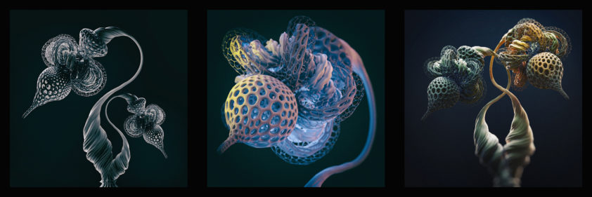 3D Artist Creates Blooming, Generative Sculptures With NVIDIA RTX and ...