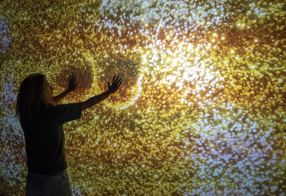 A New Era of OpenUSD Artistry With Blender 4.0 Alpha Release | NVIDIA Blog