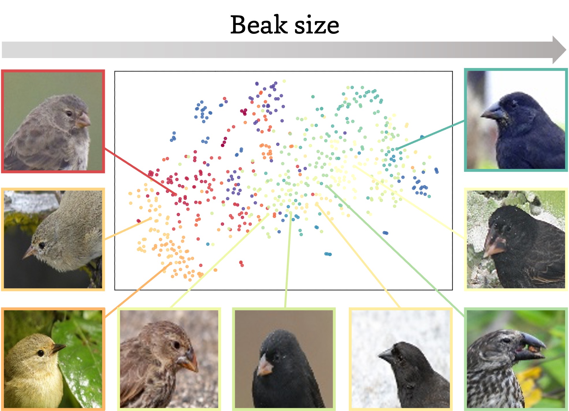 The Largest Digital Zoo: Biology Model Trained on NVIDIA GPUs ...