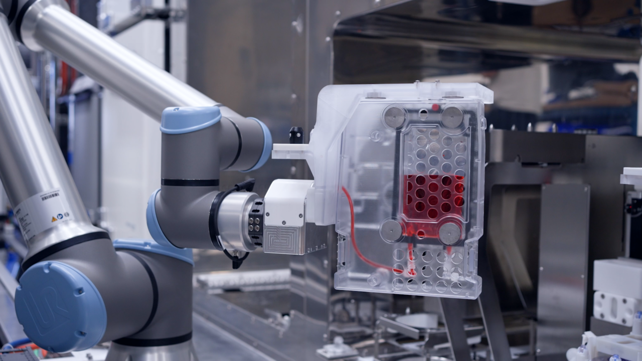 OpenAI and NVIDIA Propel AI Innovation With New Open Models Optimized for the World’s Largest AI ...